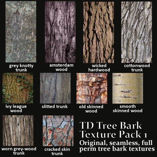 Different Types Of Tree Bark